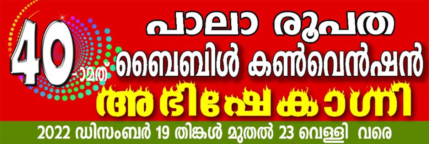 അതിർത്തി മേഖലയിൽ ഡ്രോൺ വെടിവെച്ചിട്ട് ബിഎസ്എഫ് - PALA VISION