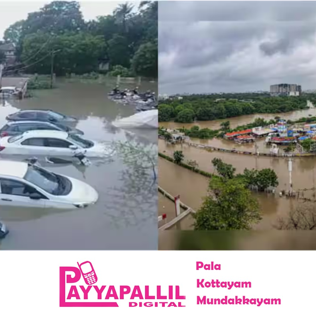 വെള്ളത്തിൽ മുങ്ങി ഗുജറാത്തിലെ വഡോദര - PALA VISION