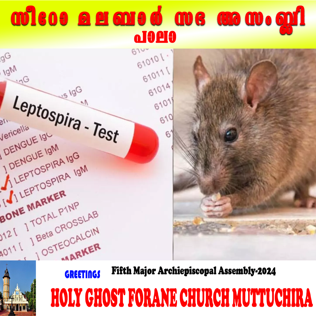 121 പേർ മരിച്ചു; കേരളത്തിൽ ആശങ്ക - PALA VISION