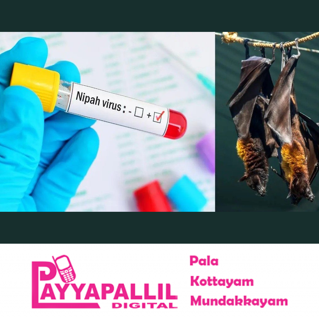 നിപ: 20 പേരുടെ പരിശോധനാ ഫലം നെഗറ്റീവ് - PALA VISION