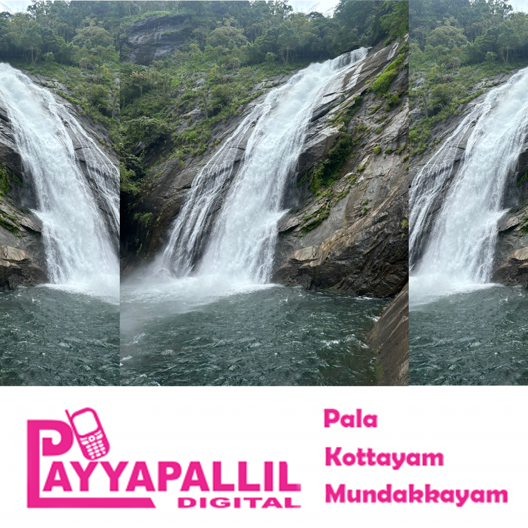 മാർമല അരുവിയിൽ എലിവേറ്റഡ് ഗ്യാലറി നിർമ്മിക്കും : അഡ്വ. ഷോൺ ജോർജ് - PALA VISION