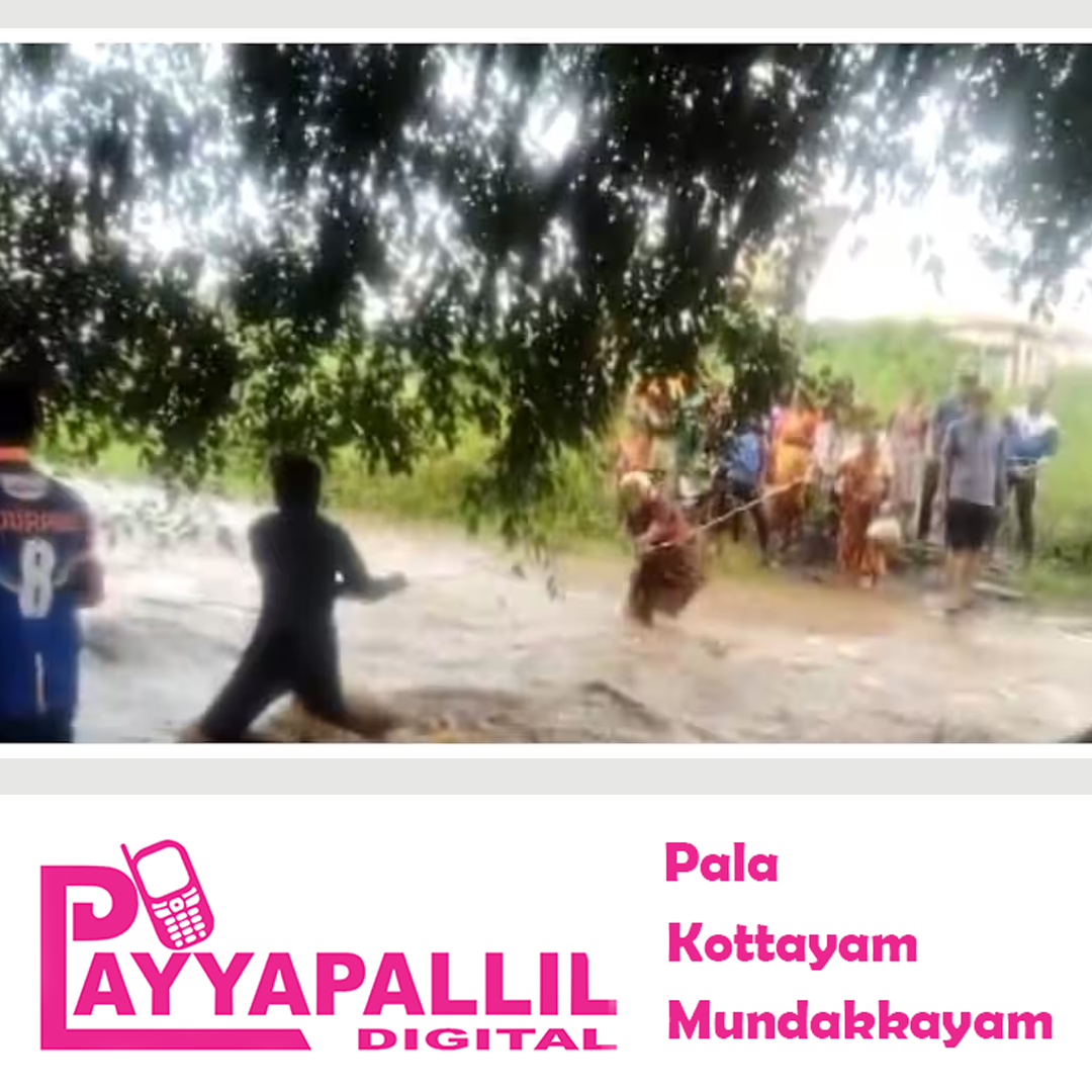 മധ്യപ്രദേശില്‍ അരുവി കരകവിഞ്ഞതിനെ തുടര്‍ന്ന് ഒറ്റപ്പെട്ട് പോയ 20 തൊഴിലാളികള്‍ - PALA VISION